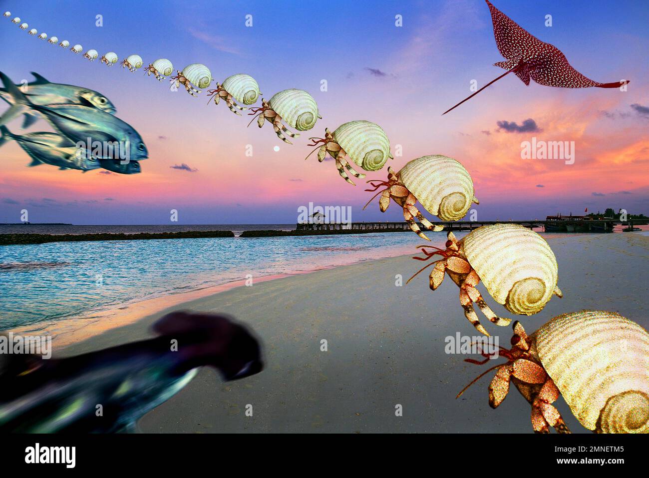 Vakarufalhi island the maldives hi-res stock photography and images - Alamy