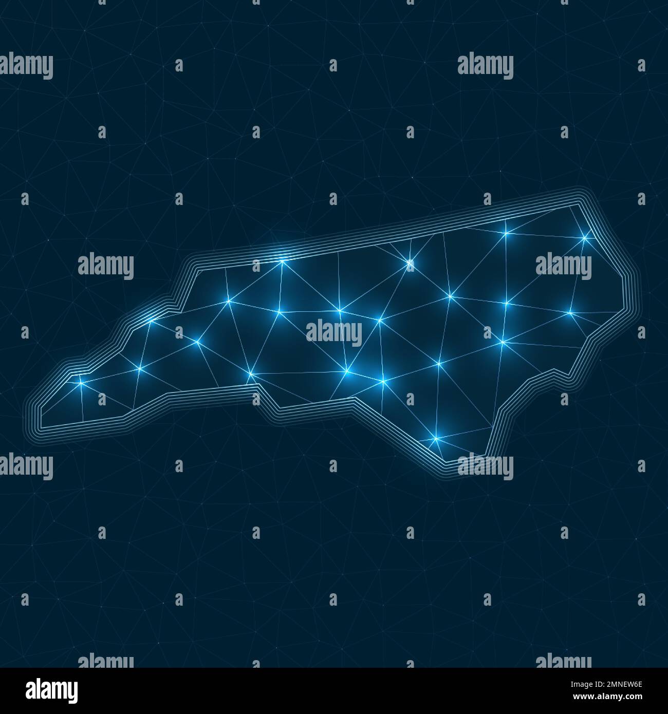 North Carolina network map. Abstract geometric map of the US state ...