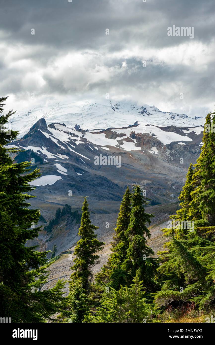 View of Mt. Baker with snow and glacier, Mt. Baker-Snoqualmie National ...