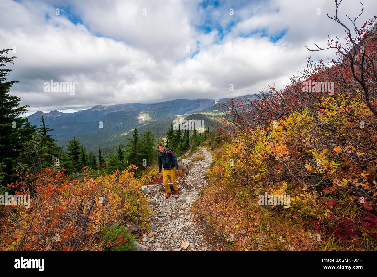 Hikers on a trail through autumn coloured bushes, hiking trail to ...