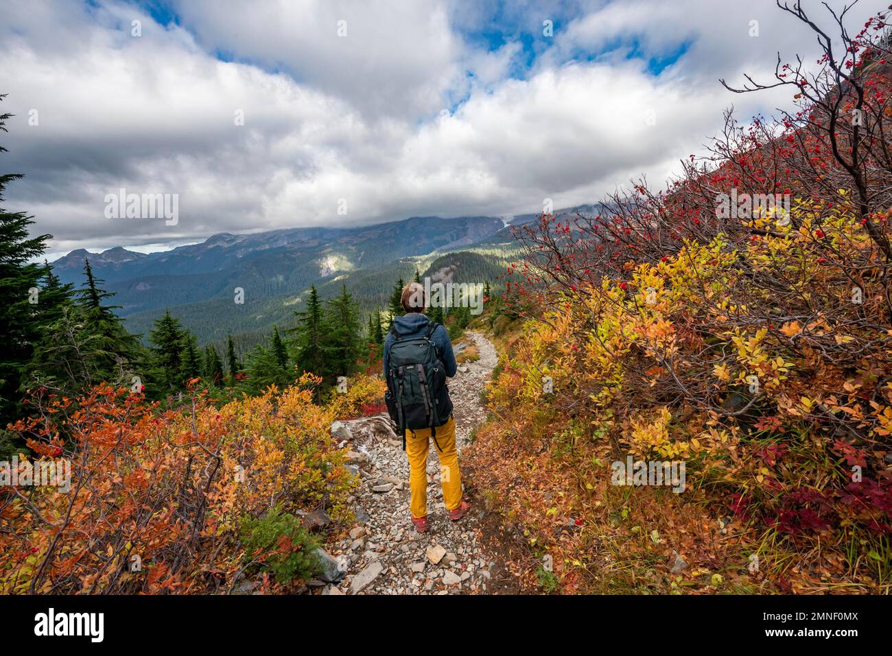 Hikers on a trail through autumn coloured bushes, hiking trail to ...