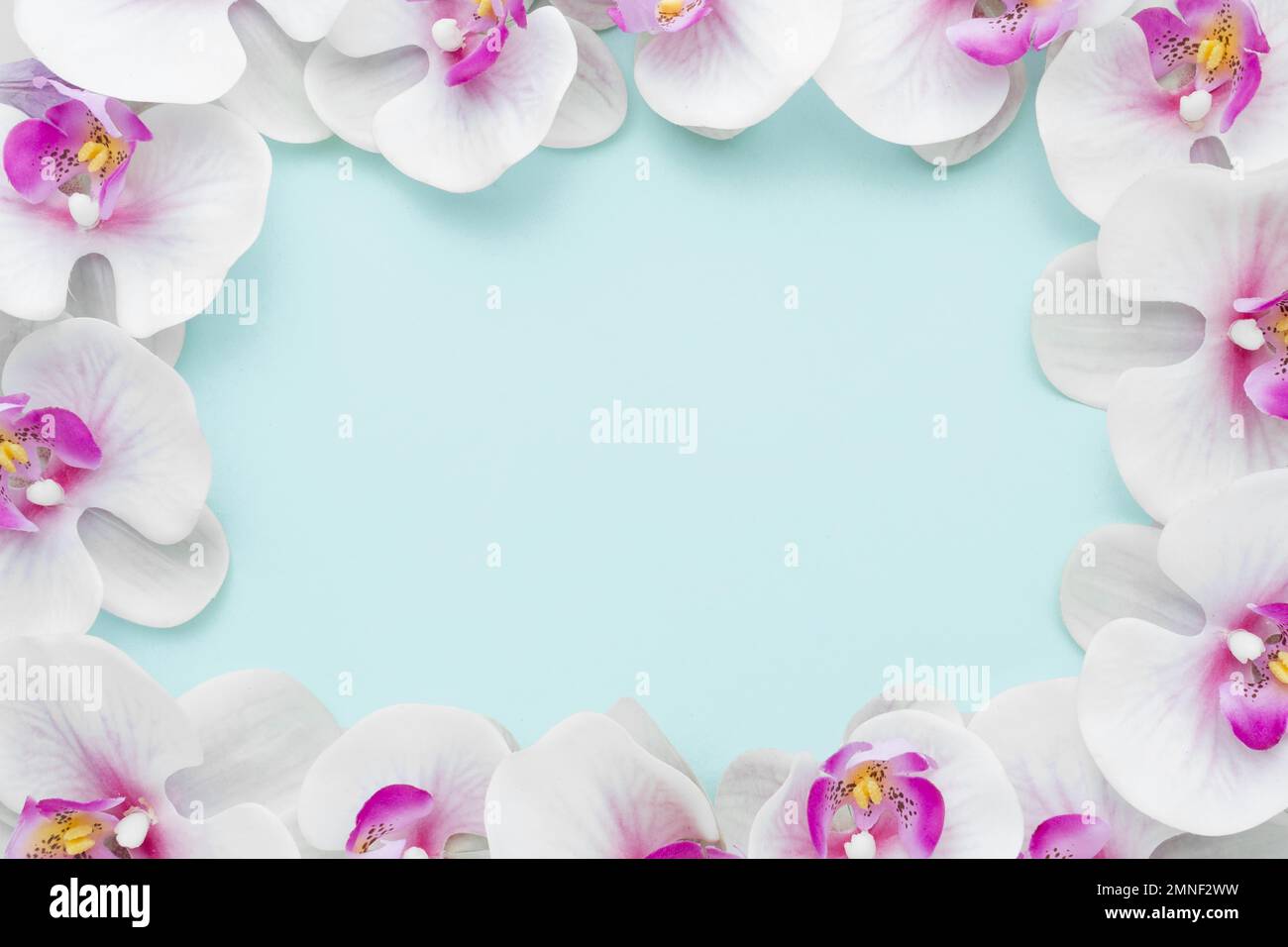 High resolution orchids hi-res stock photography and images - Alamy
