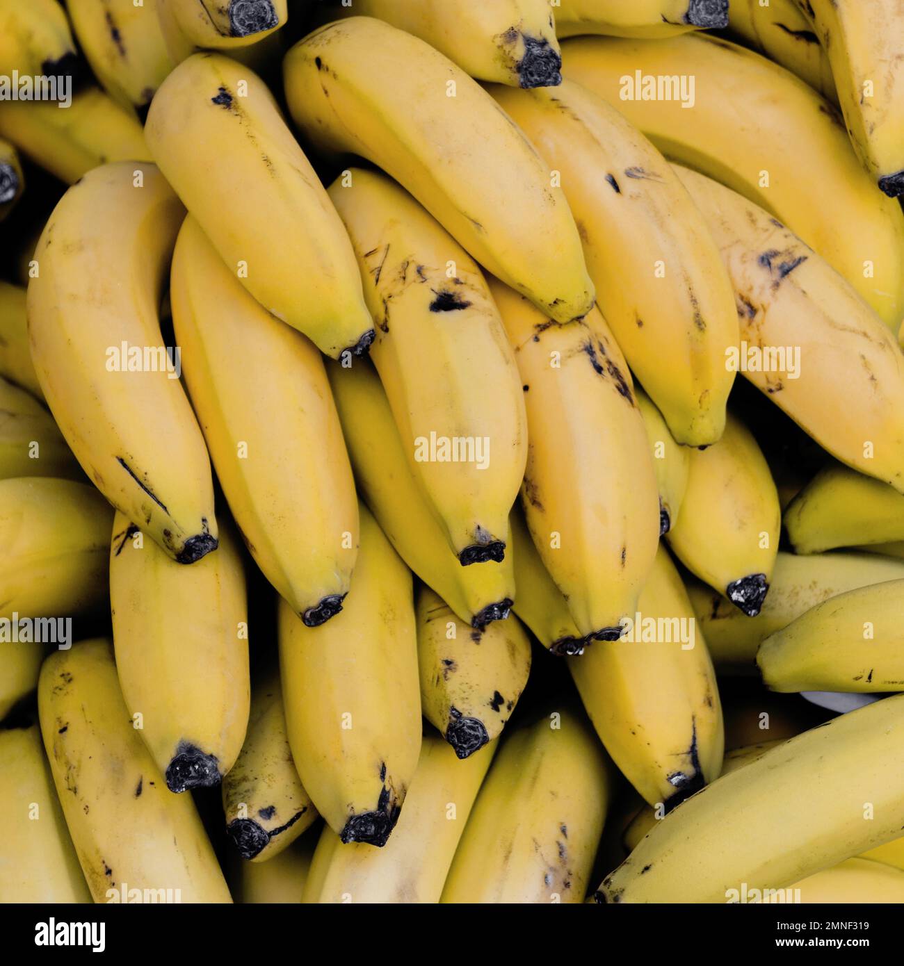 Quality bananas hi-res stock photography and images - Alamy