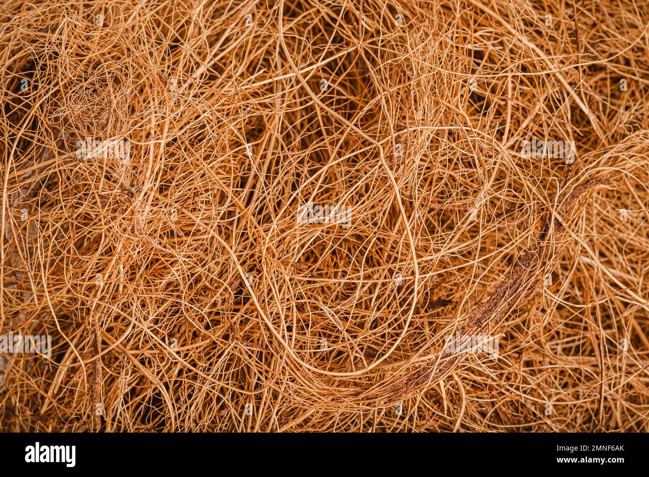 top view hay background. High resolution photo Stock Photo - Alamy
