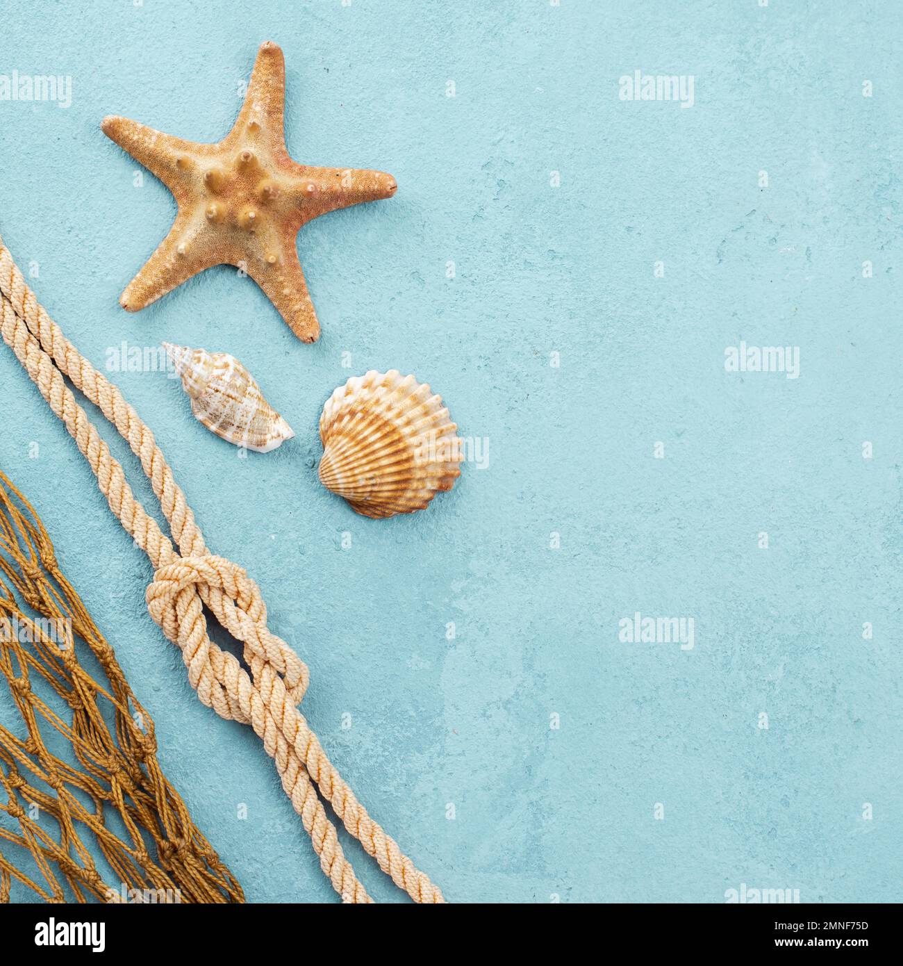 starfish shells with copy space. High resolution photo Stock Photo - Alamy