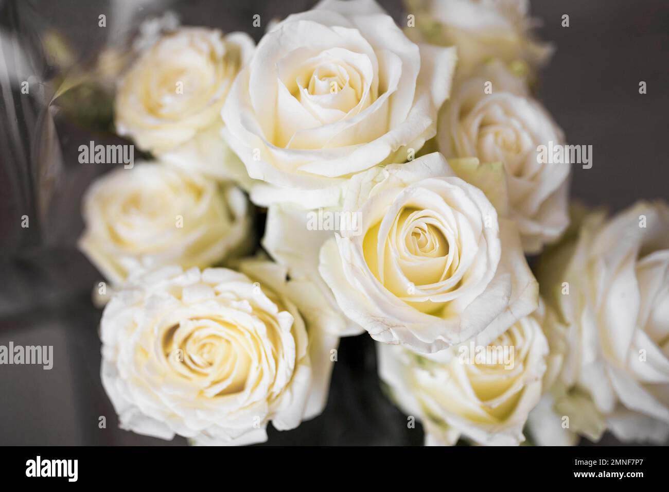 overhead view fresh white bouquet roses. High resolution photo Stock Photo - Alamy