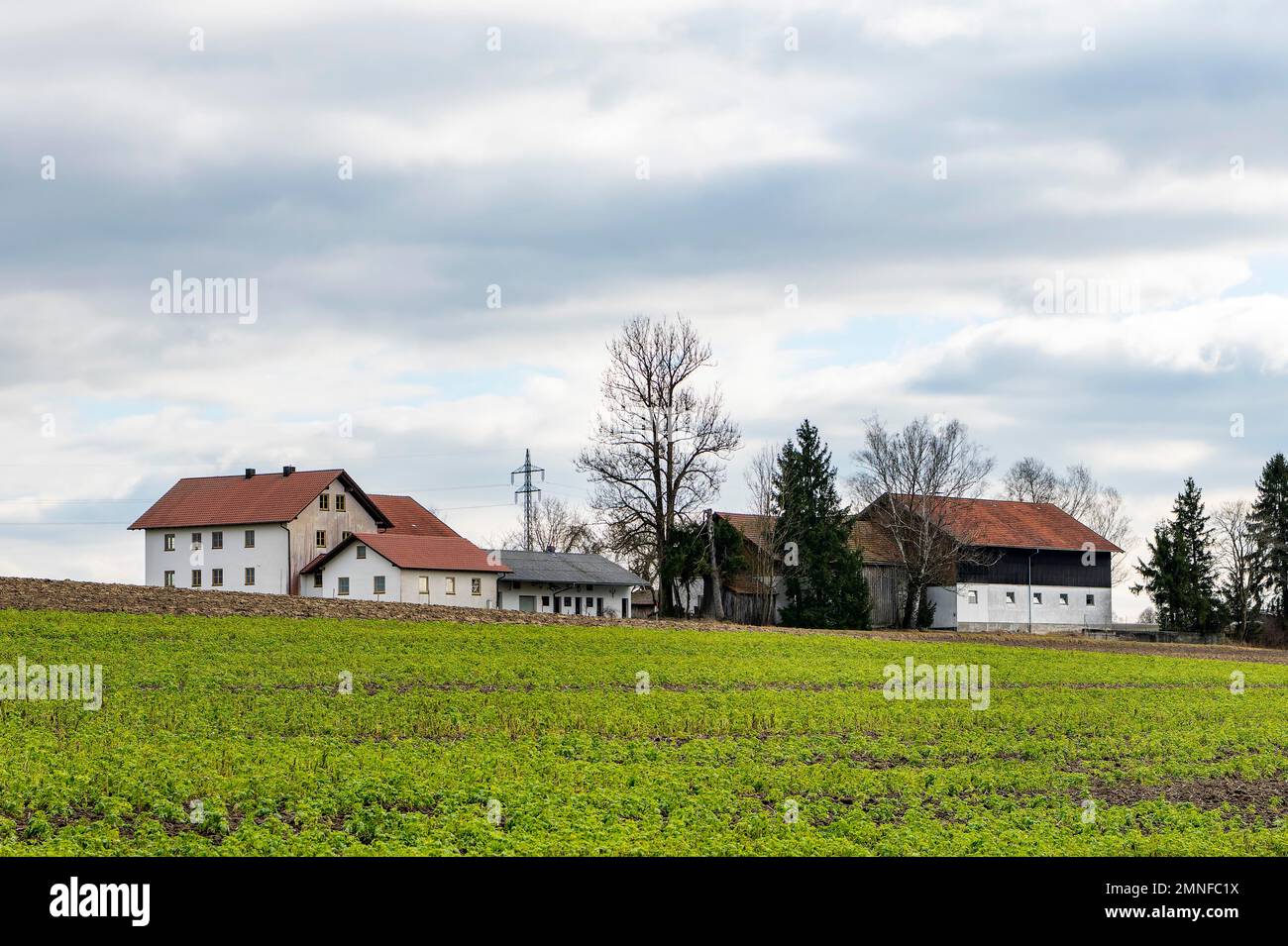 Farm, Am Steinberg, Moosinning, Bavaria, Germany Stock Photo - Alamy