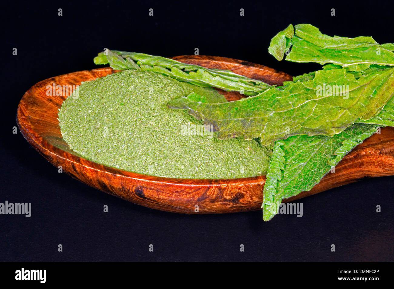 Dried stevia (Stevia rebaudiana) whole and powdered, made in a spoon ...