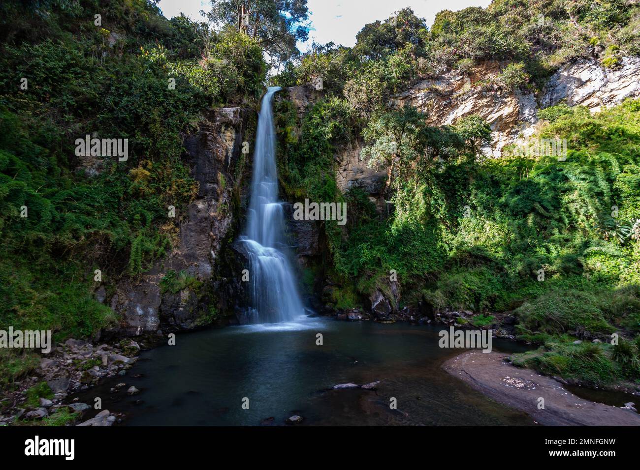 Paluz hi-res stock photography and images - Alamy