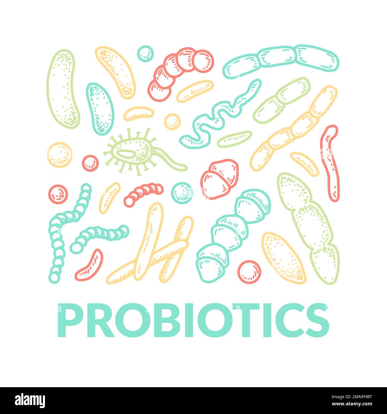 Lactobacillus vector vectors hi-res stock photography and images - Alamy