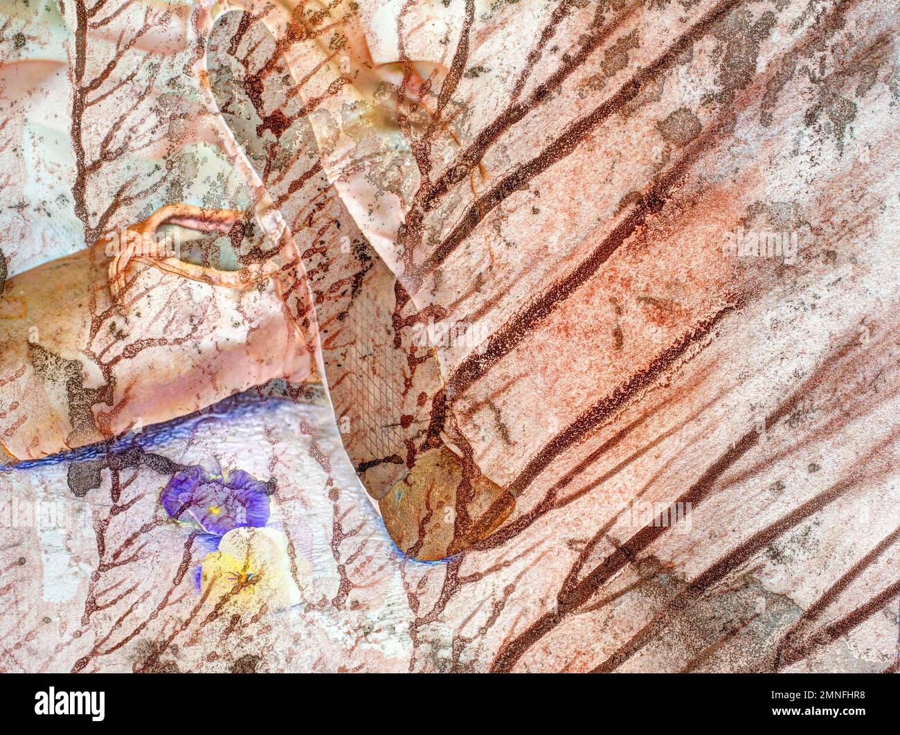 Katharina hild hi-res stock photography and images - Alamy