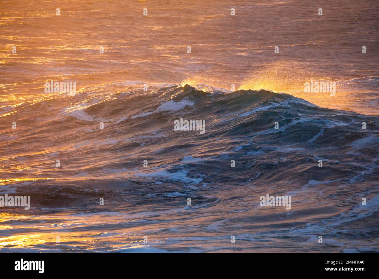 Waves of the Atlantic in the evening backlight, off the north coast of ...