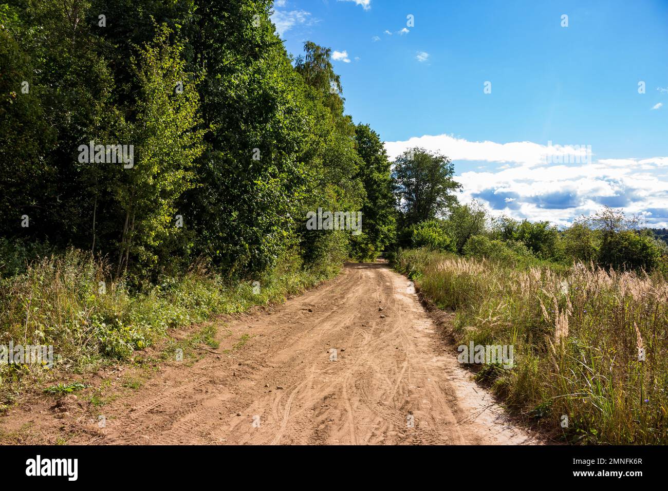 Country road passing between forest and overgrown field Stock Photo - Alamy