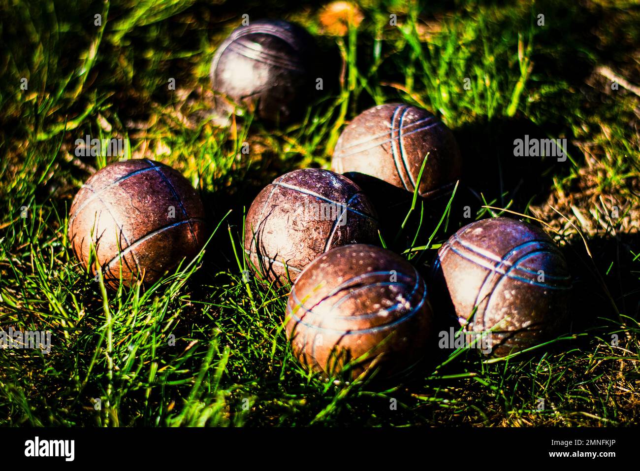 Petanque (boule) balls in green grass Stock Photo - Alamy
