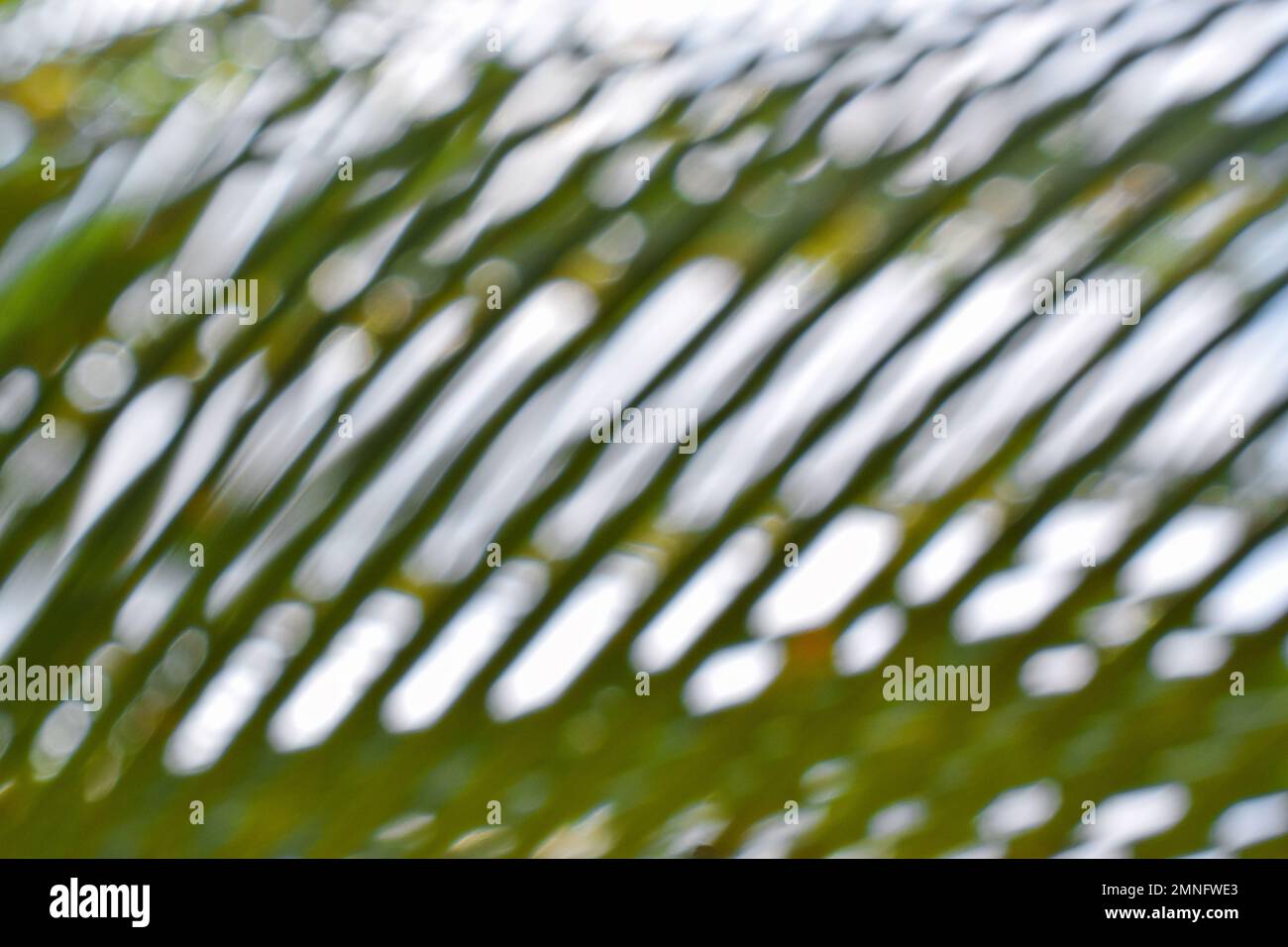 Bokeh frame hi-res stock photography and images - Alamy