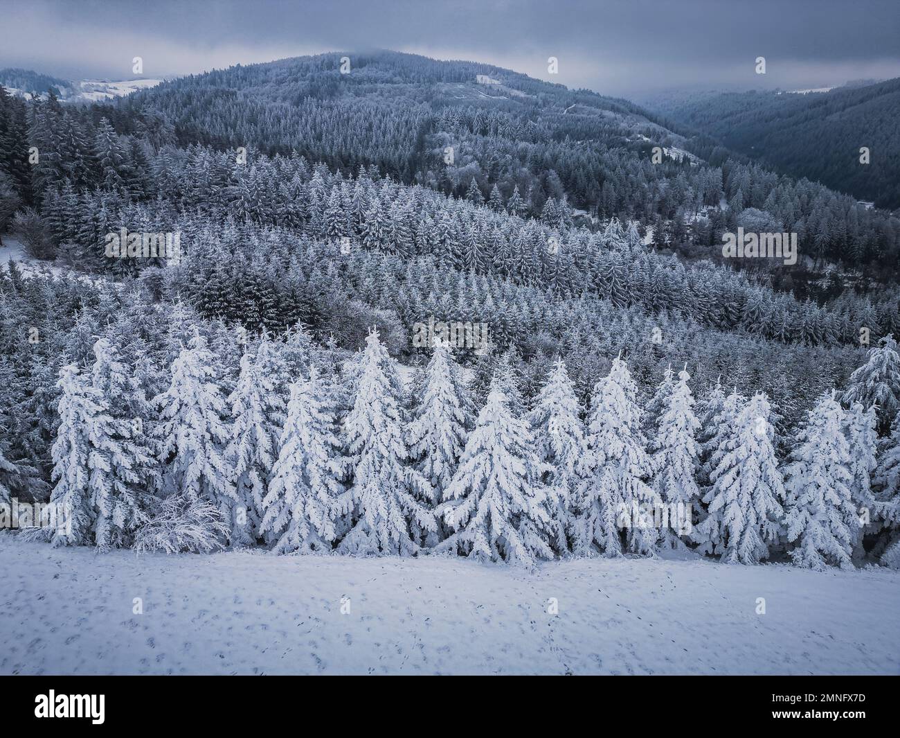 Aerial view winter frozen forest hi-res stock photography and images ...
