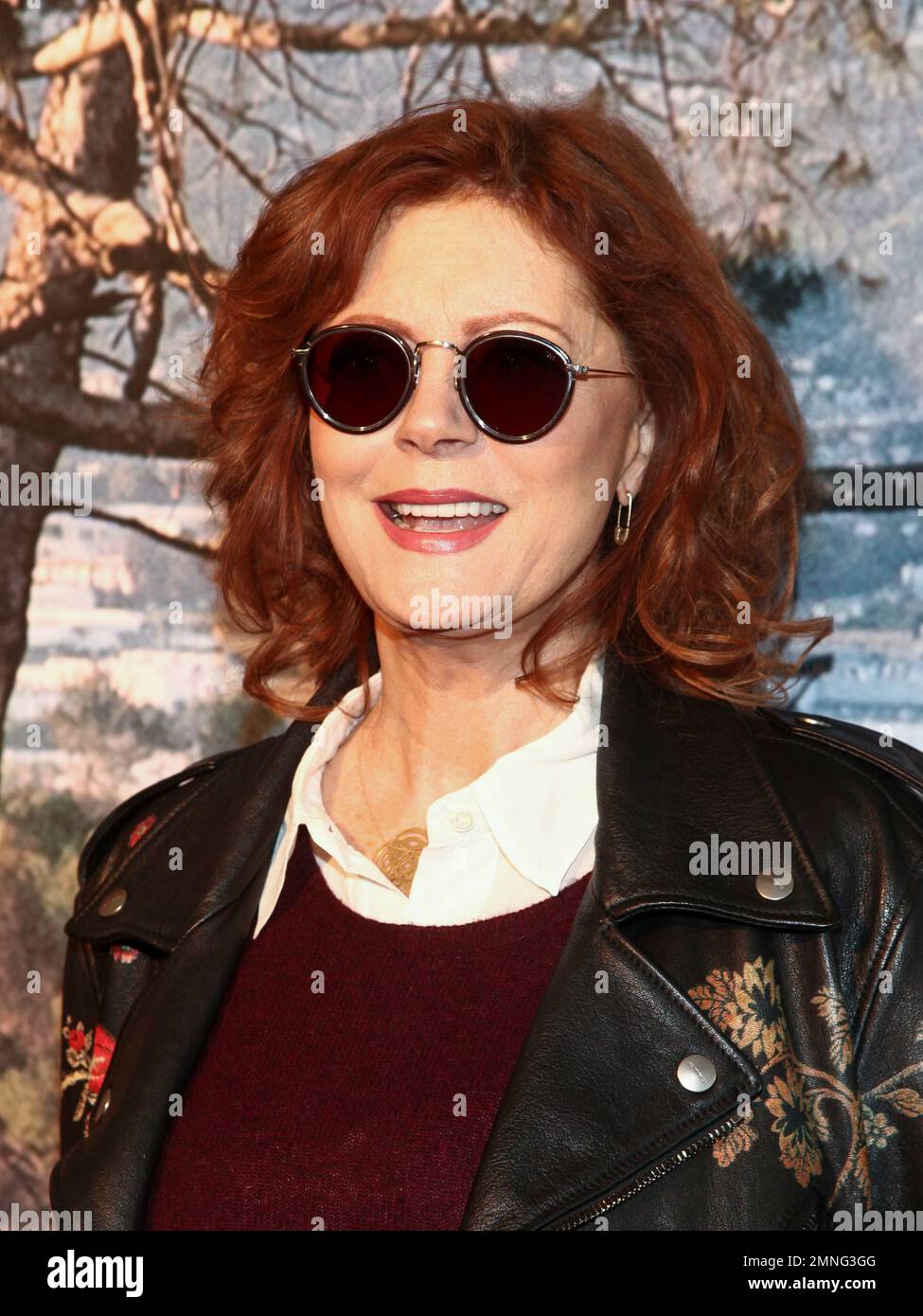 Susan Sarandon attends the premiere of Showtime's "Ray Donovan" season ...