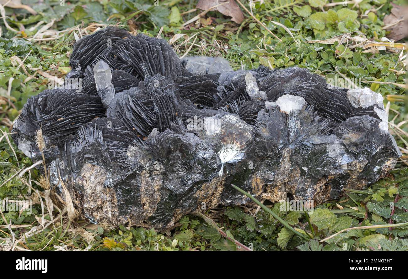 Mineral sample of hyaline quartz and barite in the grass Stock Photo ...