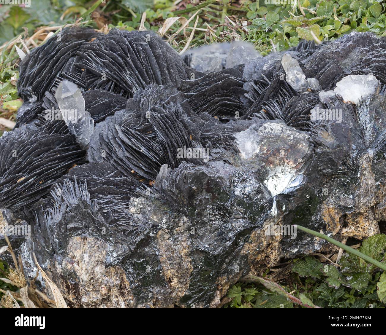 Mineral sample of hyaline quartz and barite in the grass Stock Photo ...