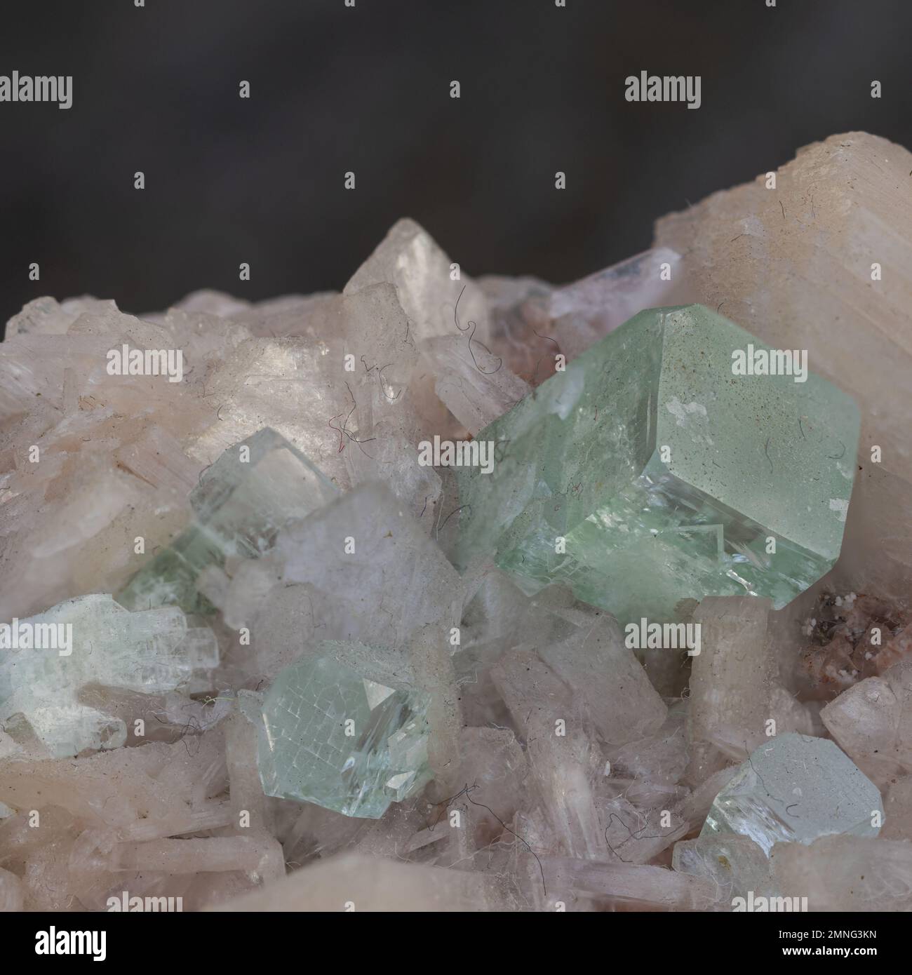 Sample of apophyllite and stilbite on a black background Stock Photo ...