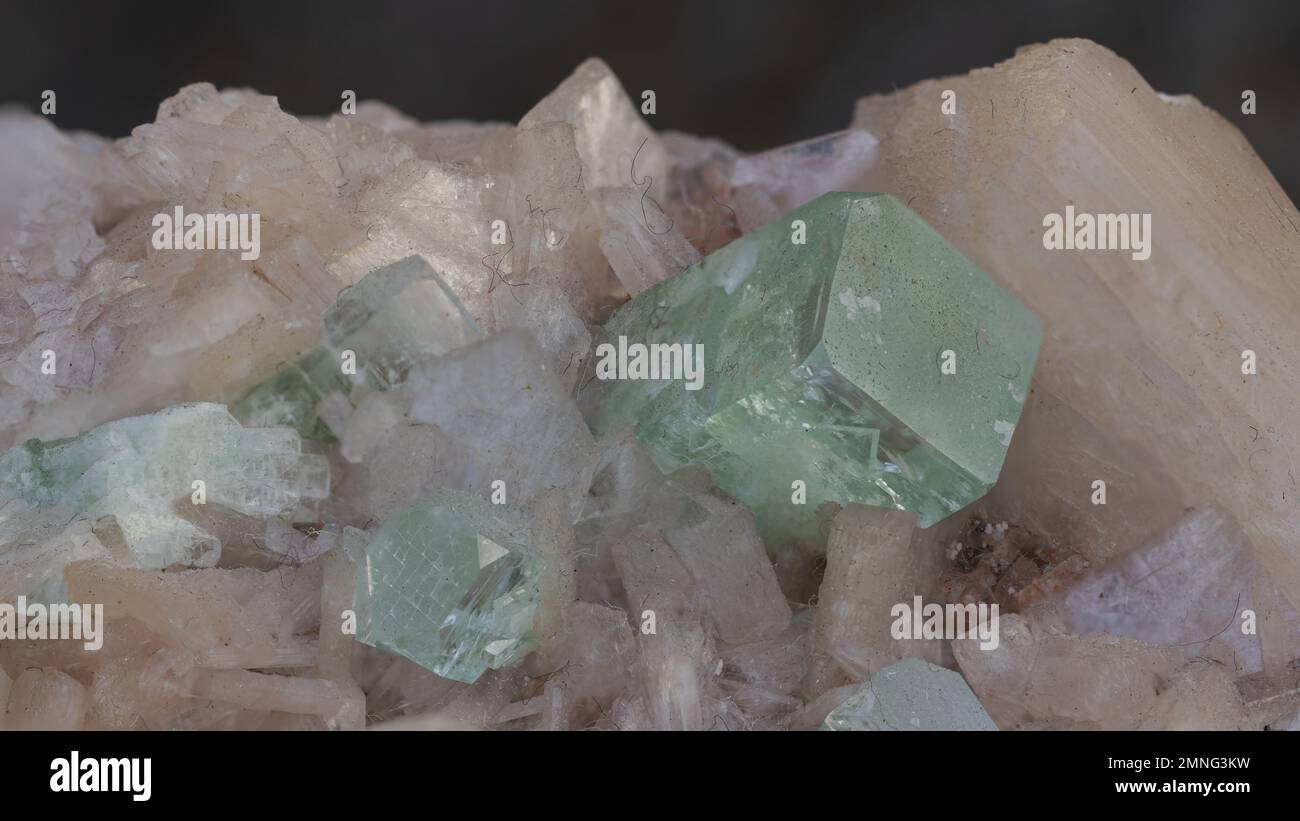 Macro of an apophyllite and stilbite mineral specimen on a black ...