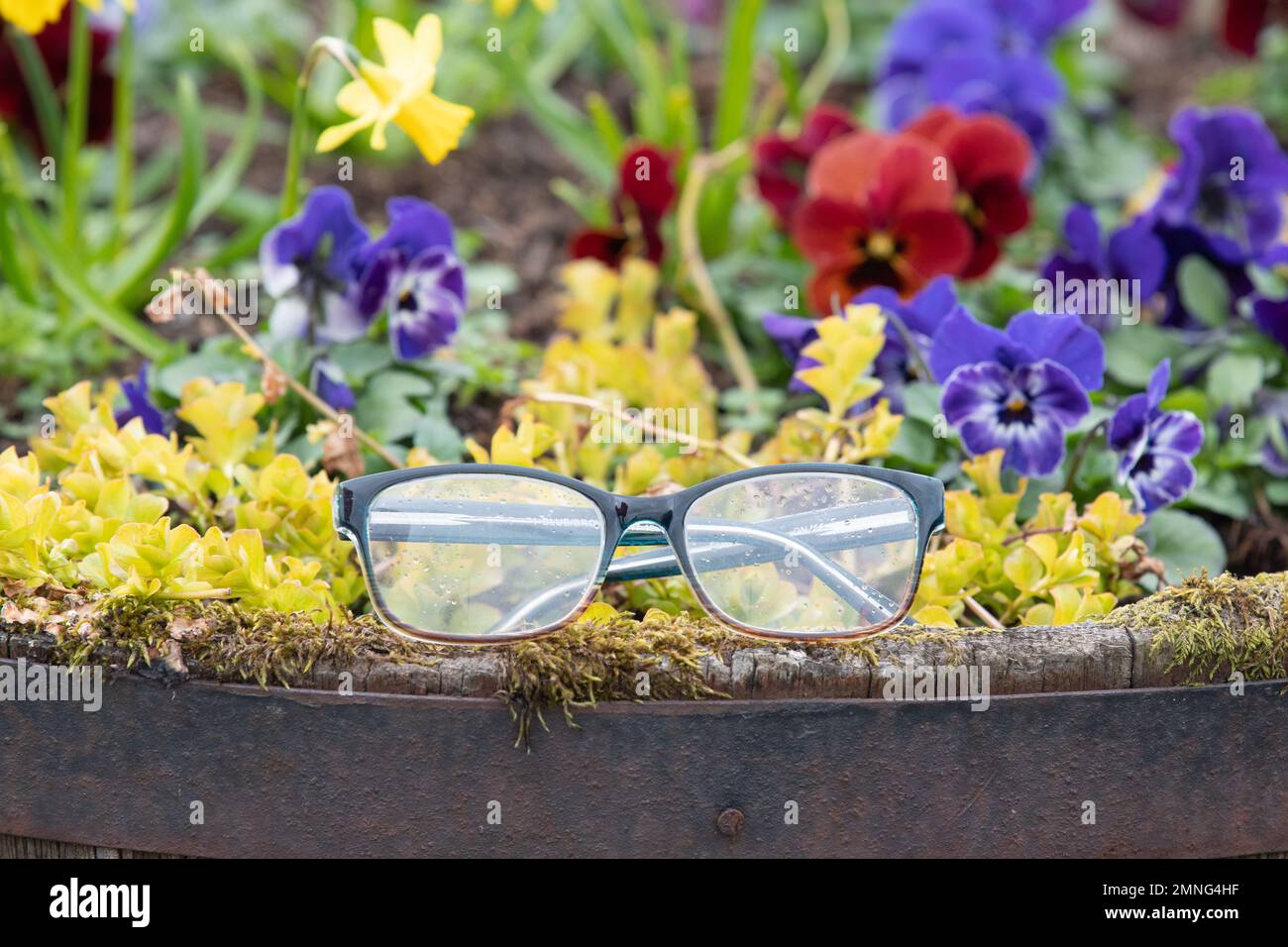 Pair of lost glasses hi-res stock photography and images - Alamy