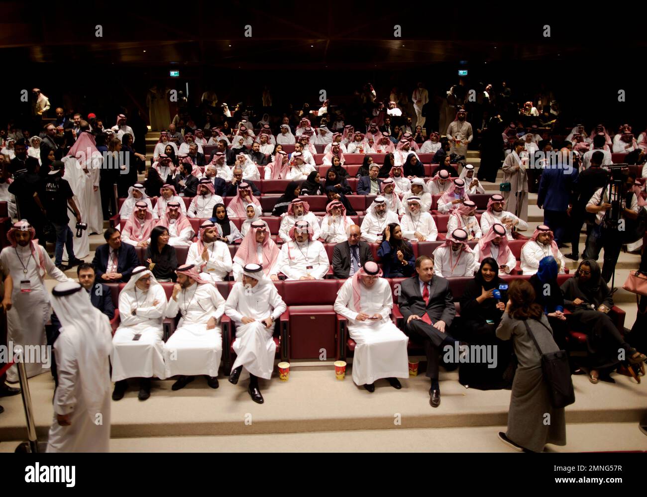 Visitors attend a cinema theatre during an invitation-only screening ...