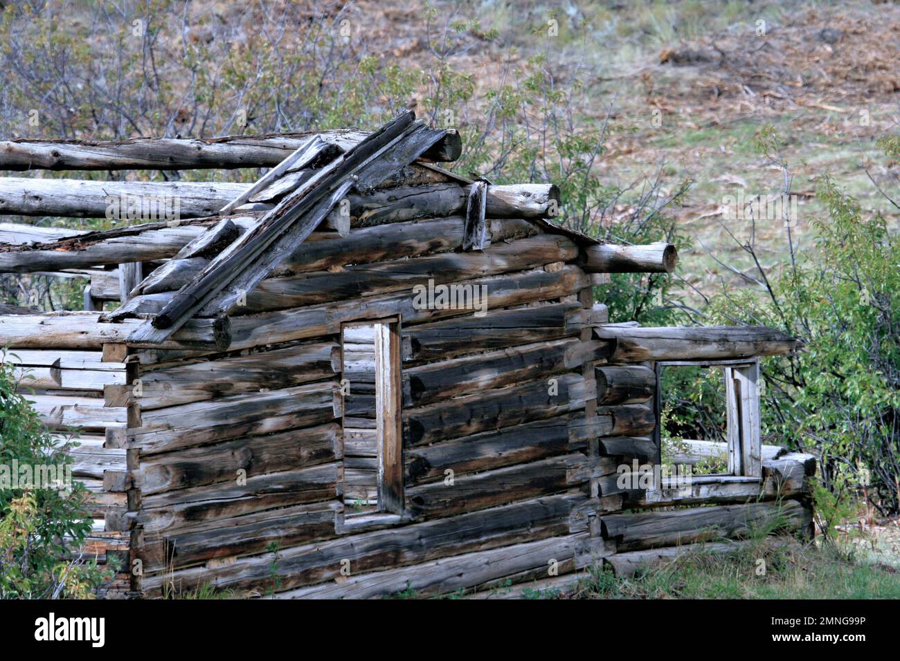 old log homestead Stock Photo - Alamy
