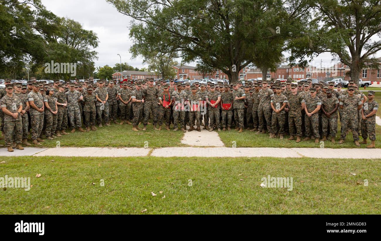 Mastery career hi-res stock photography and images - Alamy