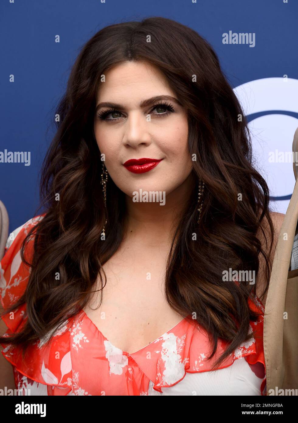 Hillary Scott arrives at the 53rd annual Academy of Country Music ...