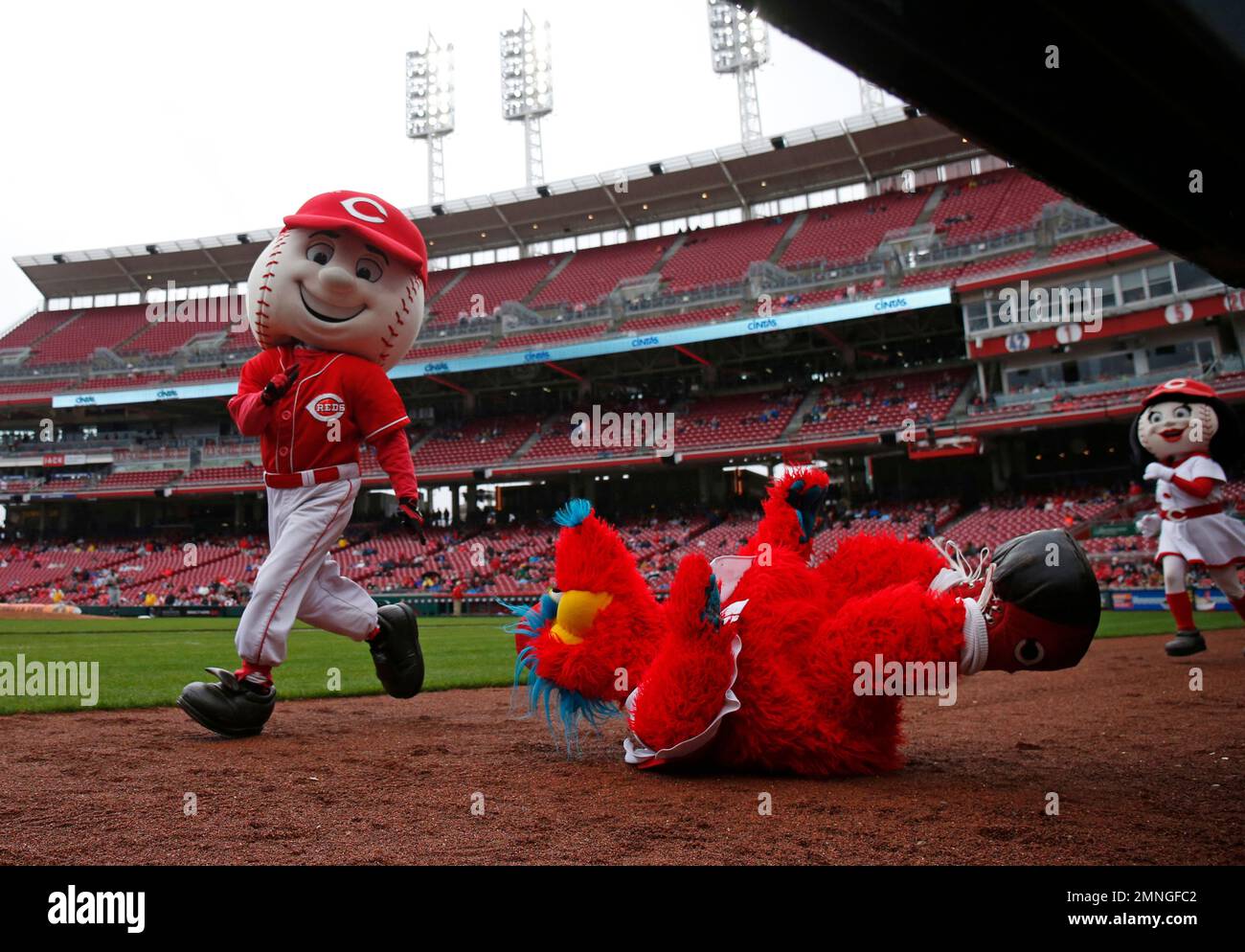 Cincinnati Reds' mascot Gapper, center, takes a tumble during a race of ...