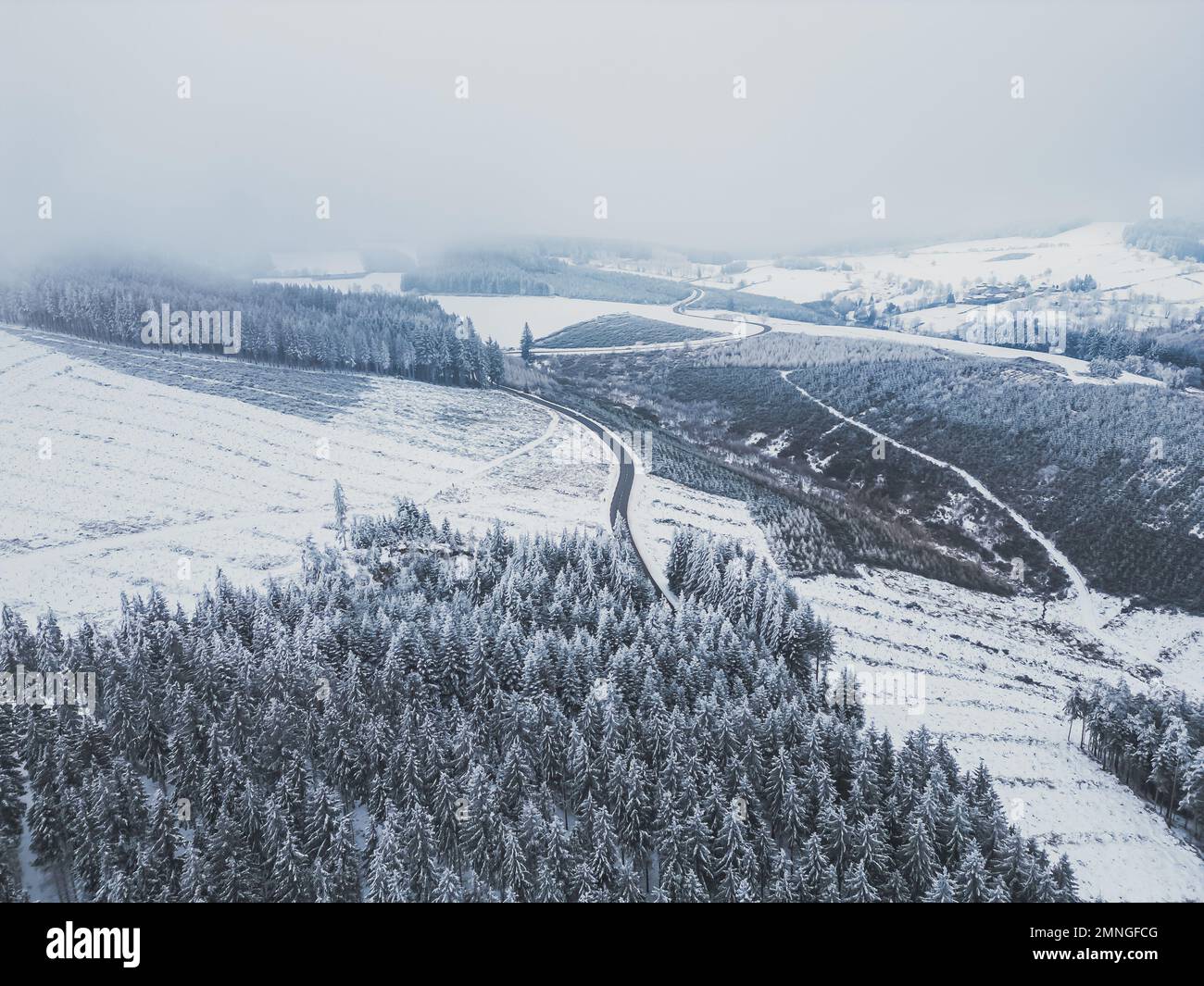 Frozen winter forest hi-res stock photography and images - Alamy