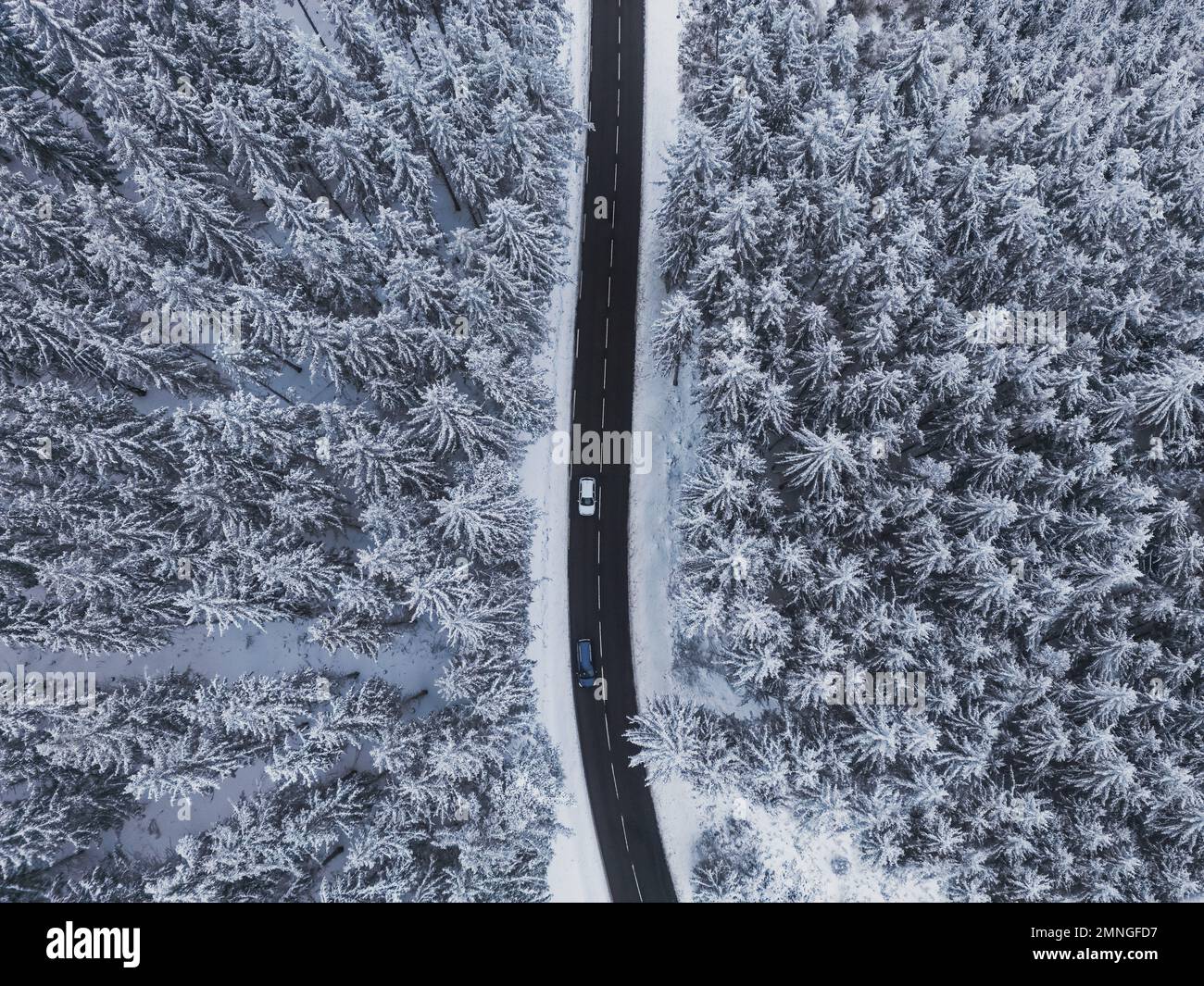 Snow-covered trees in the forest and cars on the road line in the ...