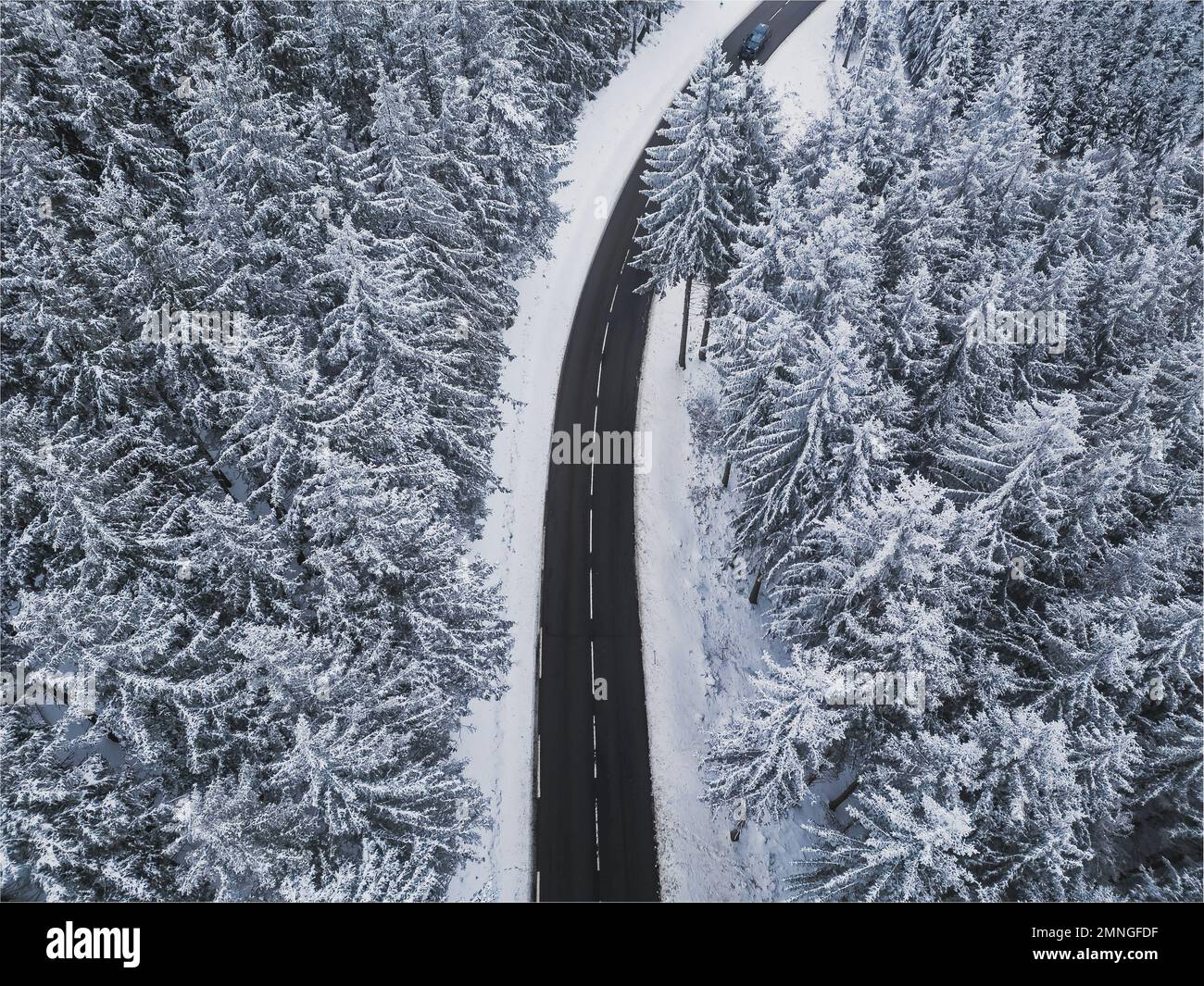 Drone above tree line mountains hi-res stock photography and images - Alamy