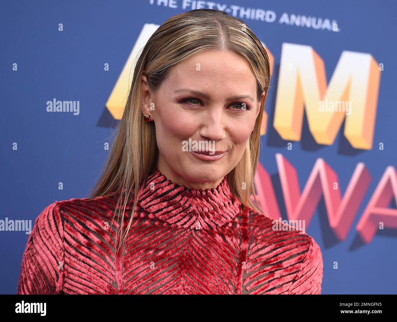 Jennifer Nettles arrives at the 53rd annual Academy of Country Music ...