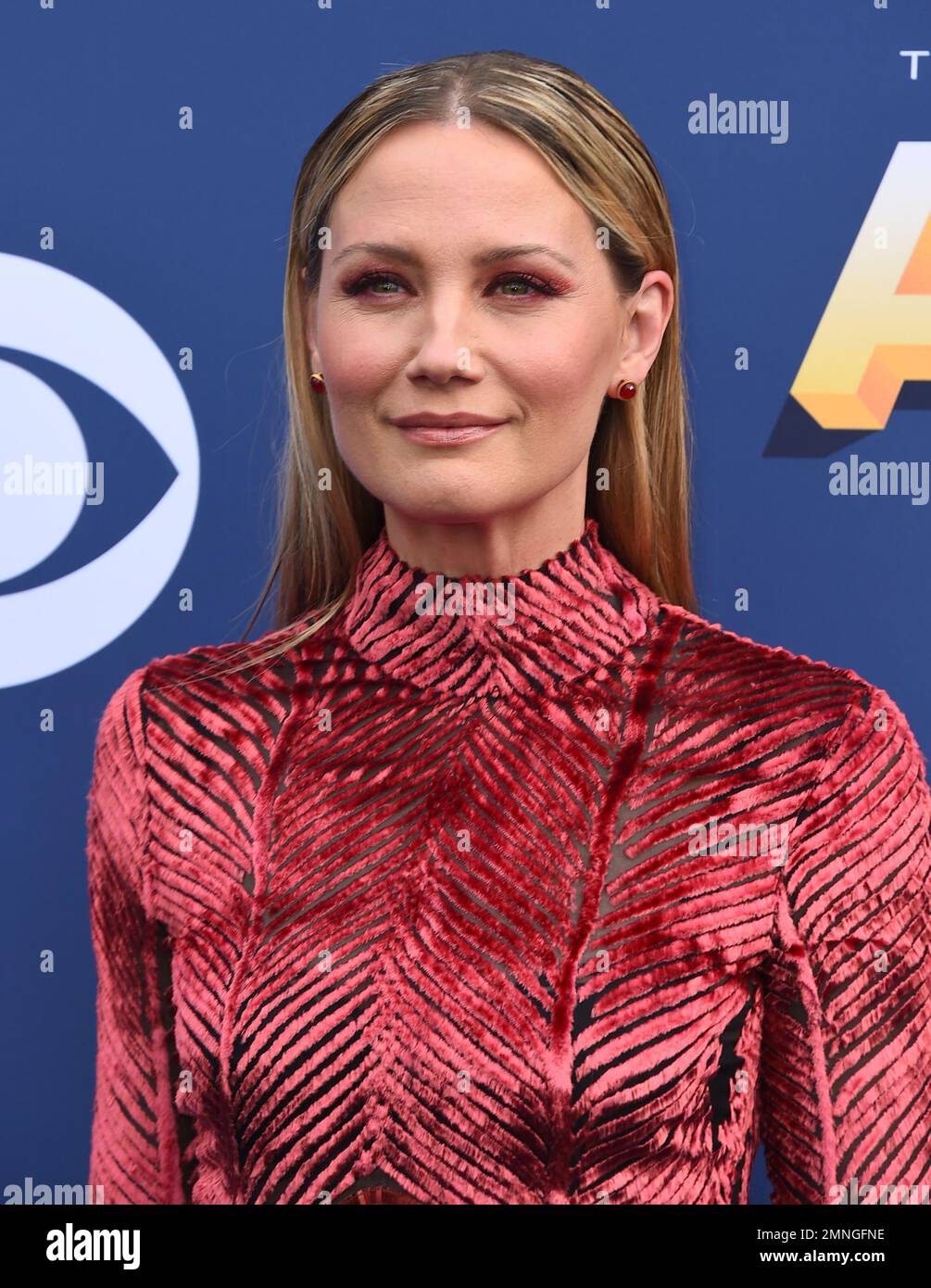 Jennifer Nettles arrives at the 53rd annual Academy of Country Music ...