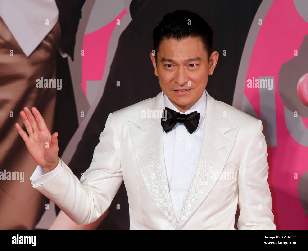 Hong Kong actor Andy Lau poses on the red carpet of the Hong Kong Film ...
