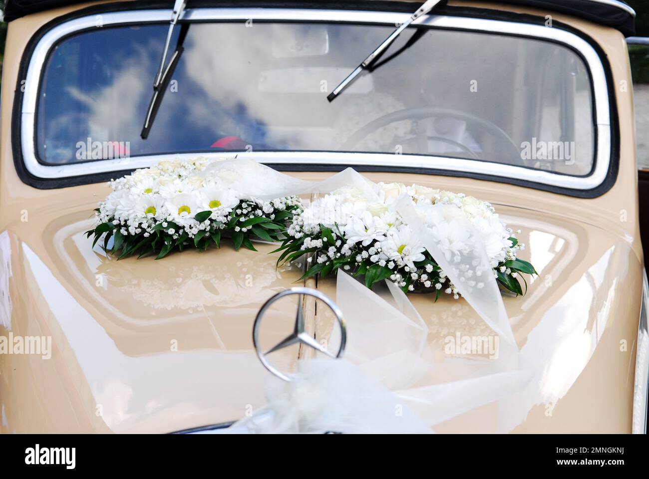 auto, beautiful, beauty, black, car, celebration, ceremony, day, decor ...