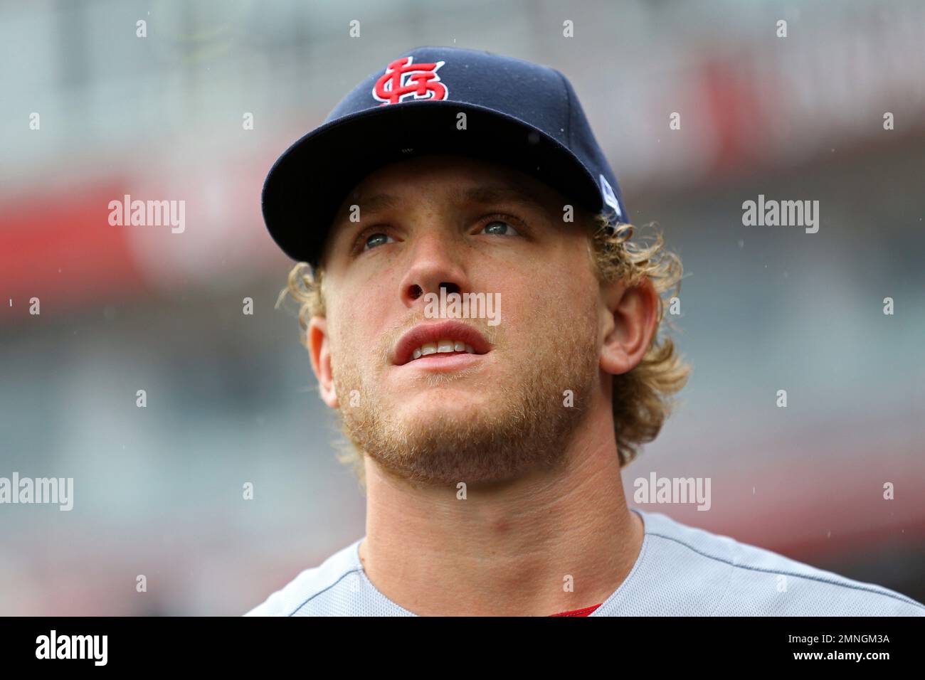 St. Louis Cardinals' Harrison Bader stands in the dugout prior to a ...