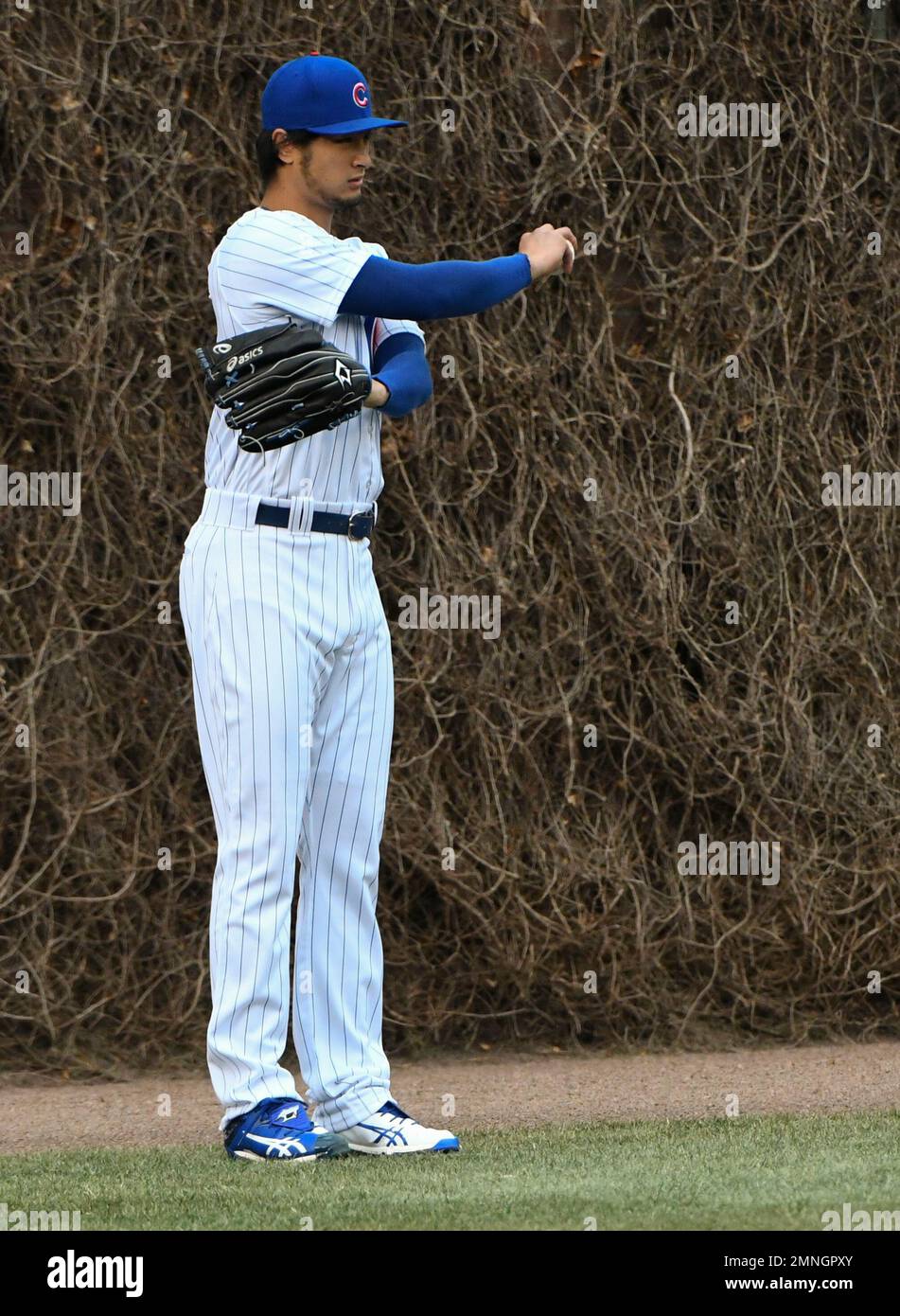 Chicago Cubs starting pitcher Yu Darvish (11) warms up before a ...