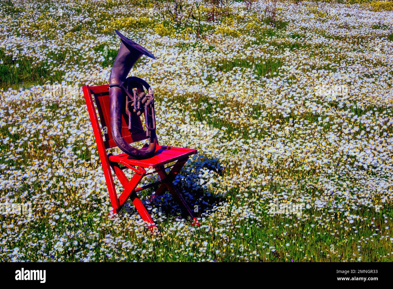 Chair in field of flowers hi-res stock photography and images - Alamy
