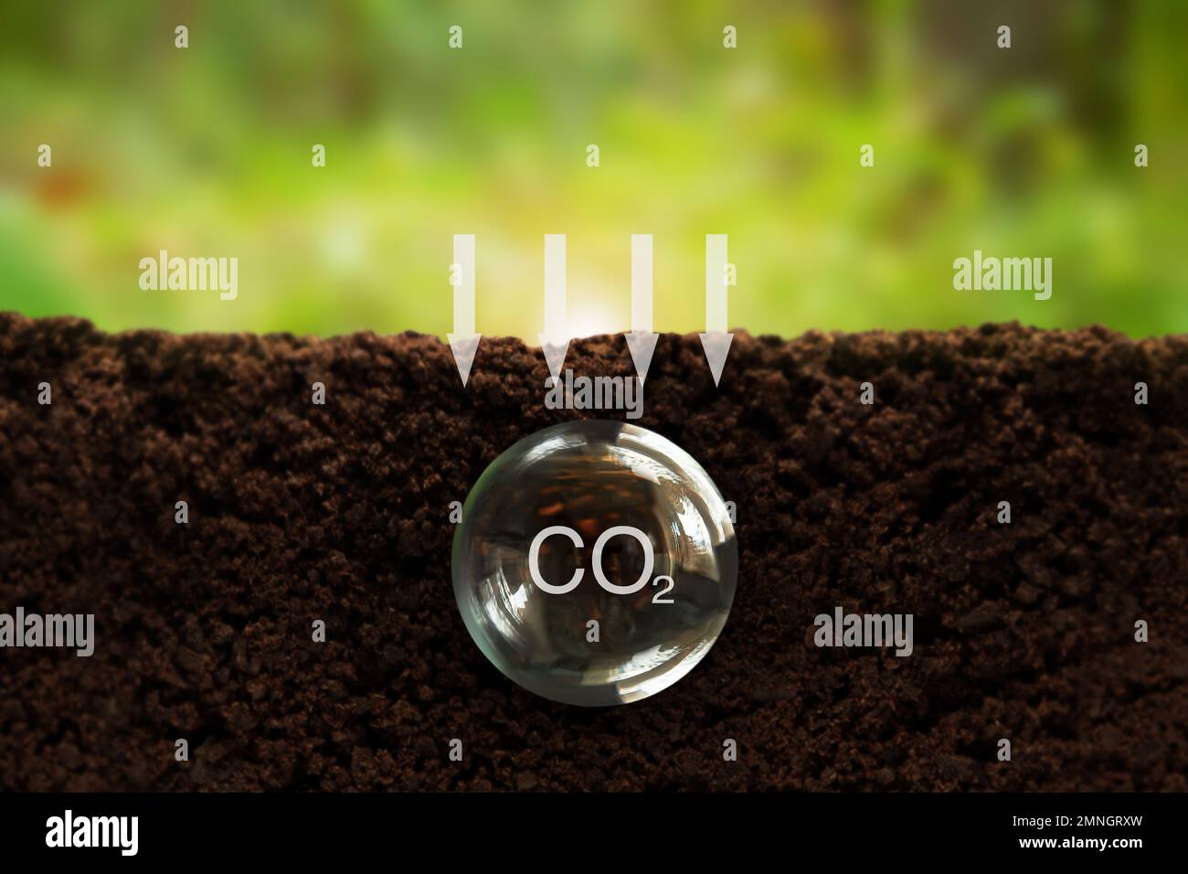 Formula of carbon in a transparent ball underground, on a green ...