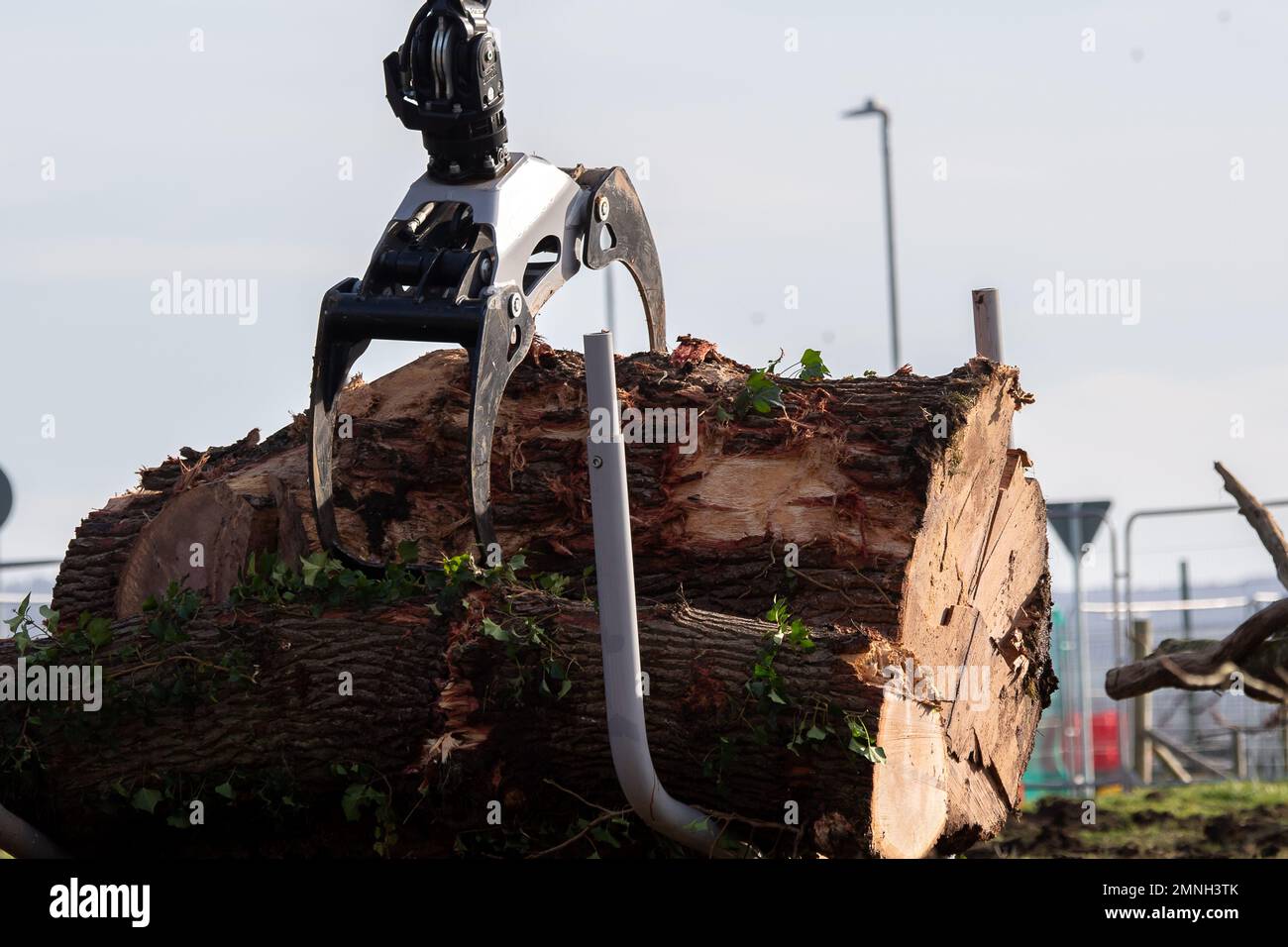 Hs2 removing trees hi-res stock photography and images - Alamy