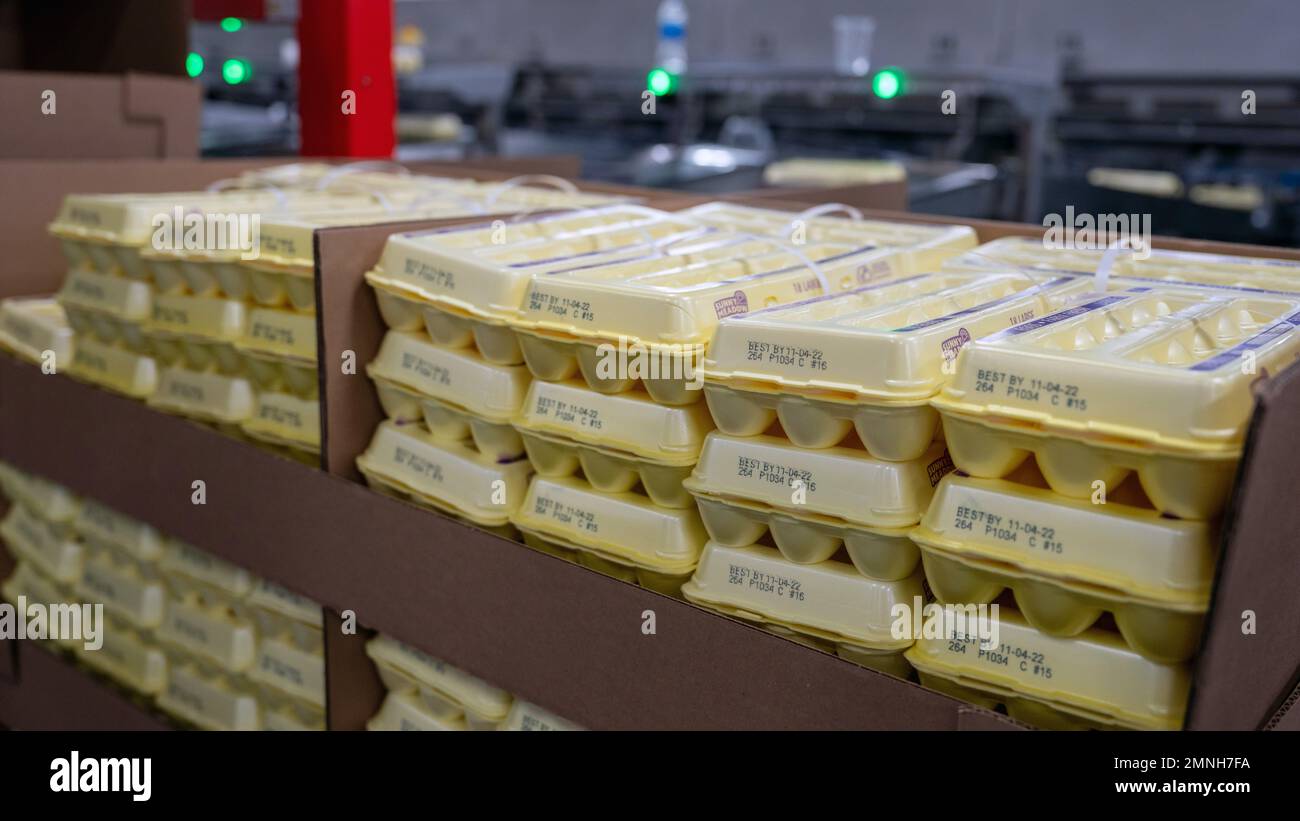 18 count egg cartons hi-res stock photography and images - Alamy