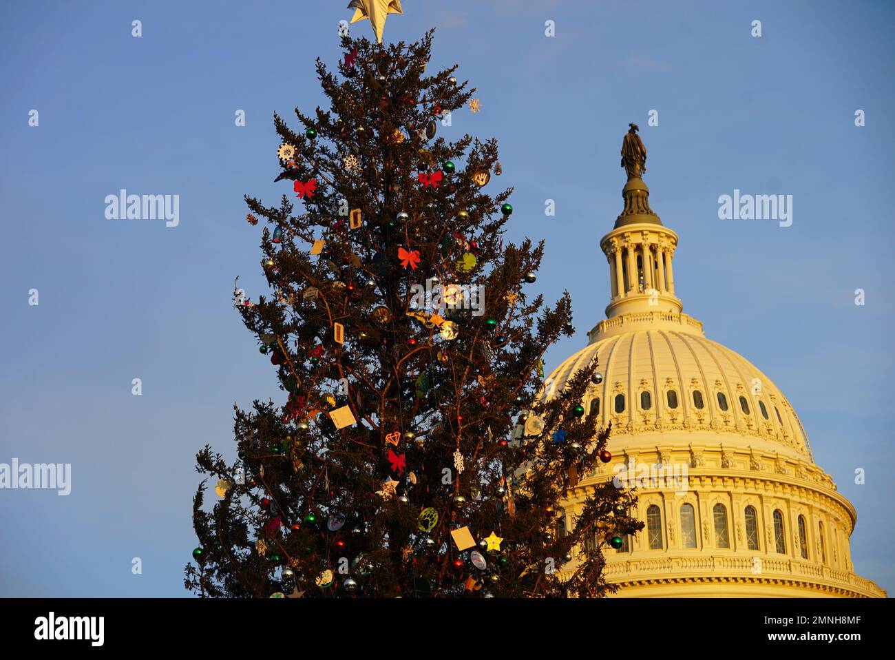 The U.S. Capitol Christmas Tree lighting Ceremony at the west lawn of the Capitol Building in ...