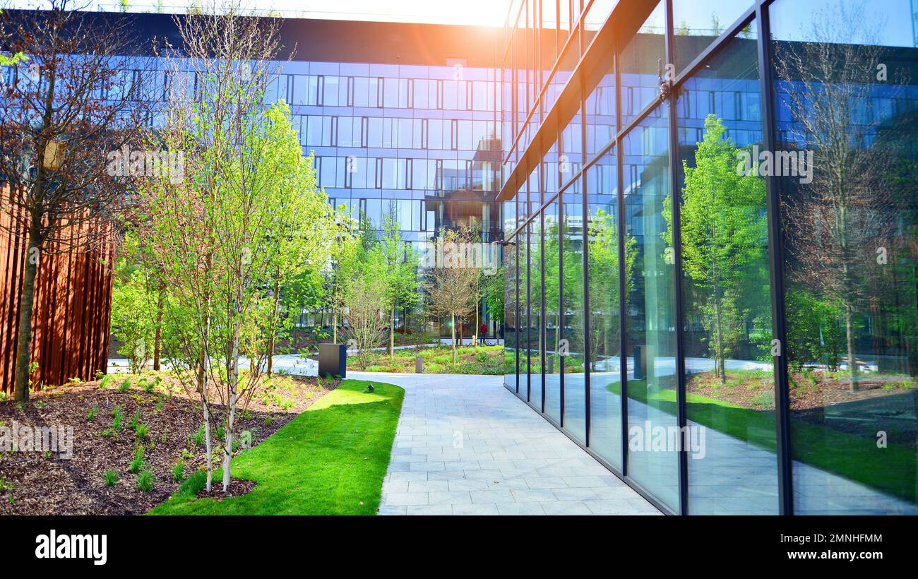 Eco architecture. Green tree and glass office building. The harmony of ...