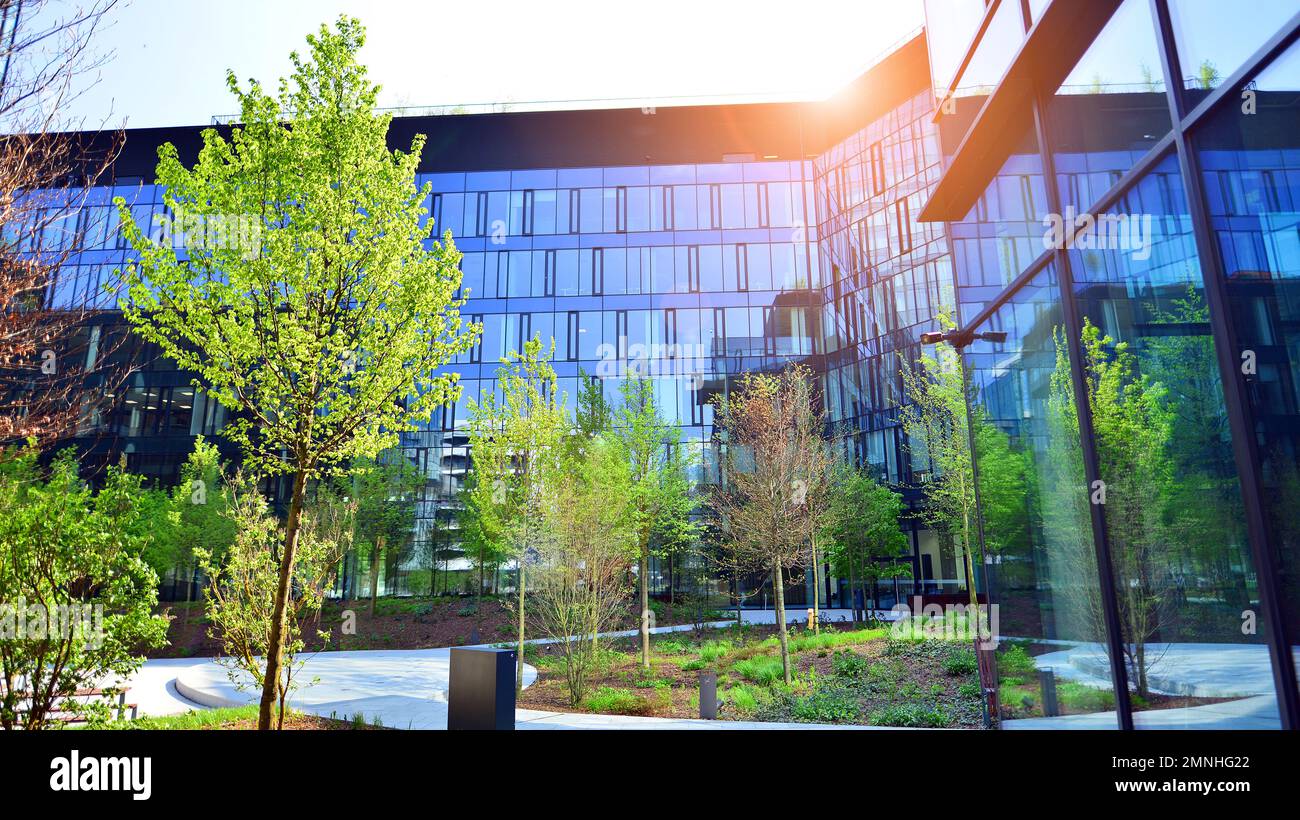 Eco architecture. Green tree and glass office building. The harmony of ...