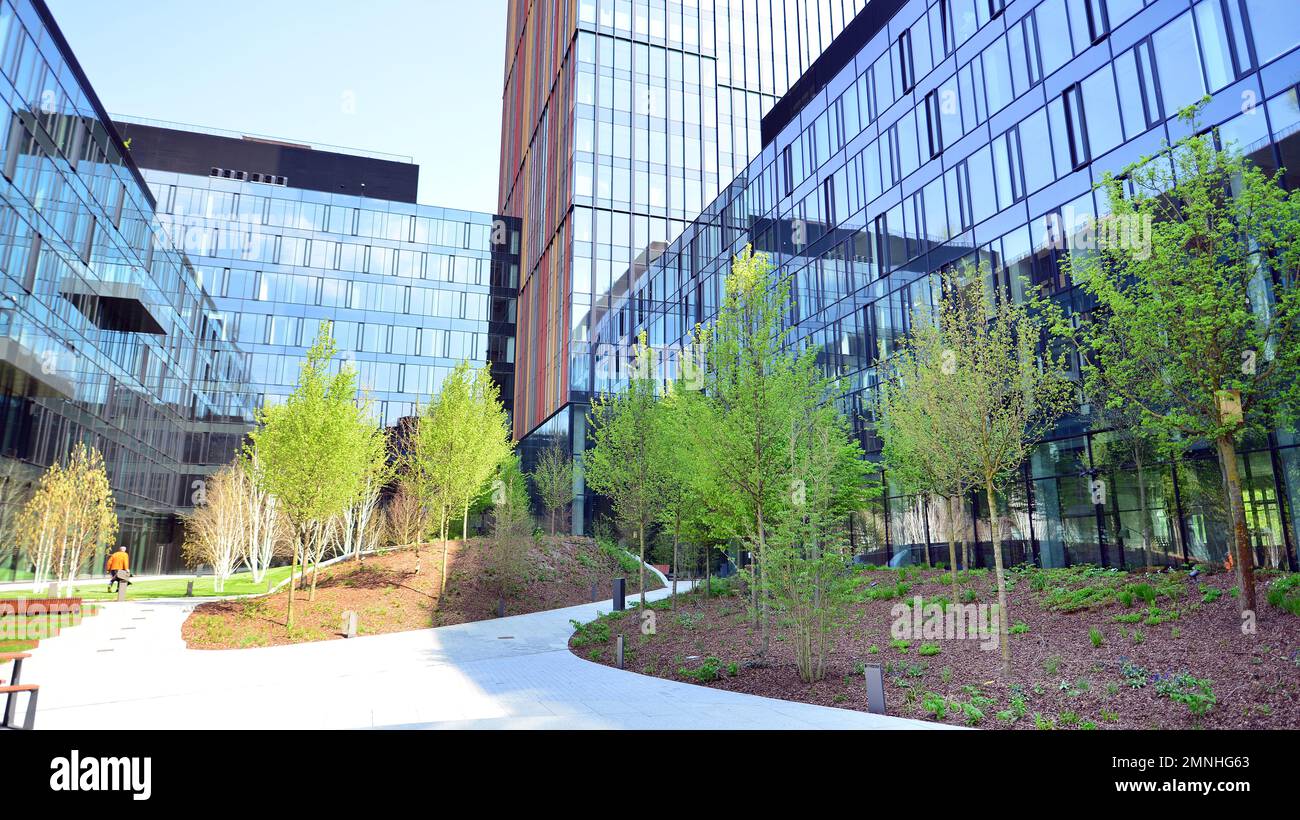Eco architecture. Green tree and glass office building. The harmony of ...