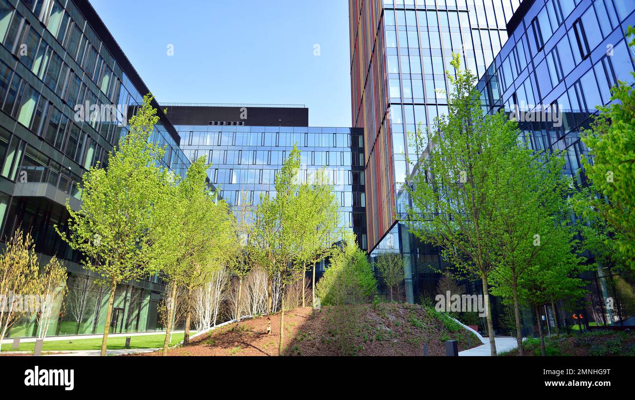 Eco architecture. Green tree and glass office building. The harmony of ...