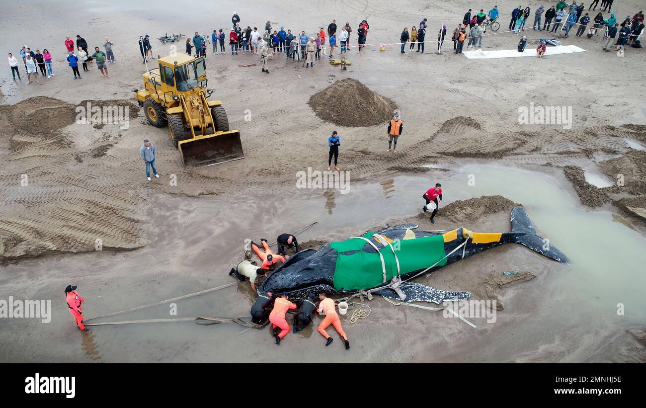 Members of the Argentine Naval Prefecture and volunteers try in vein to ...